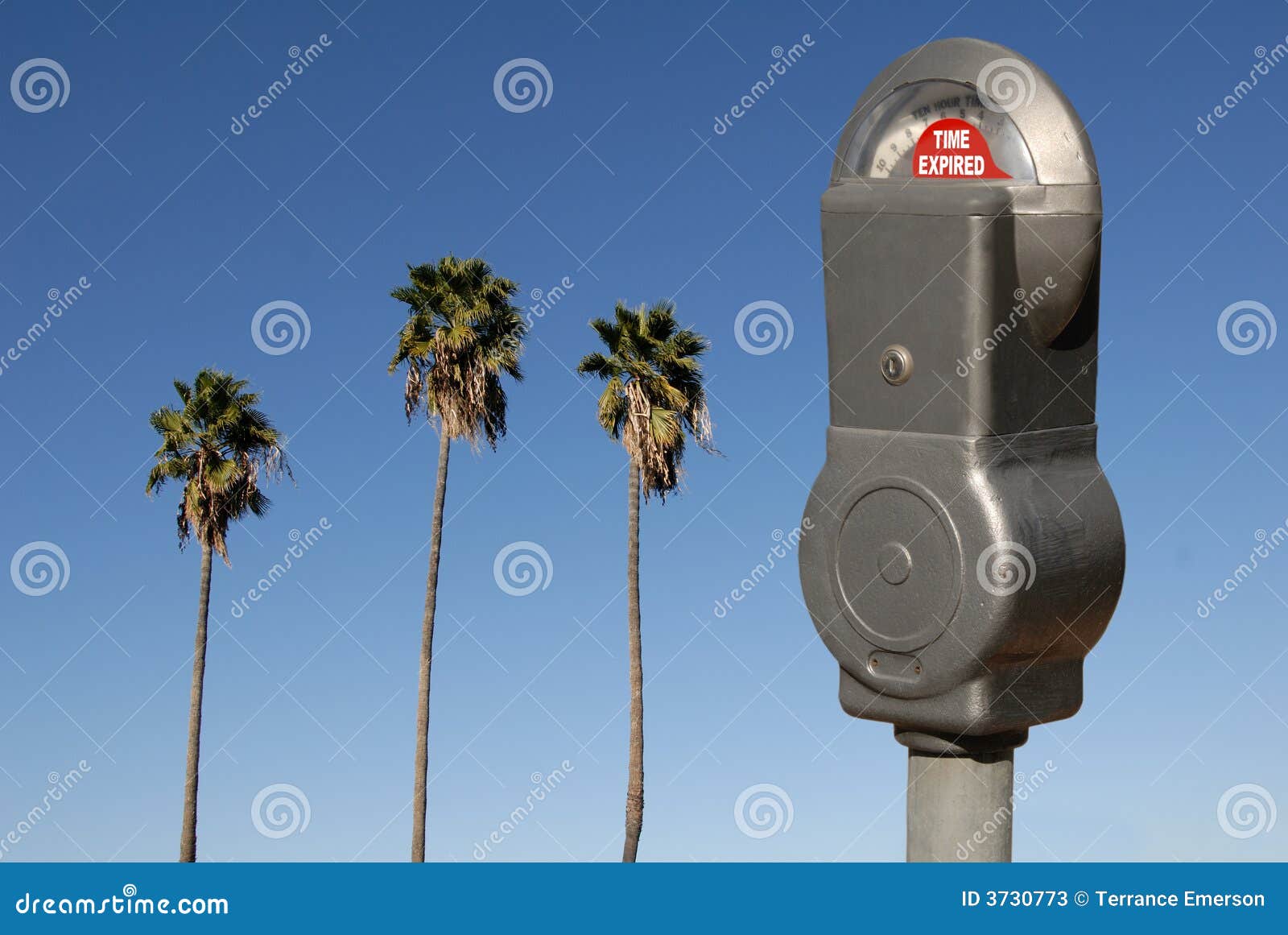 1,713 Meter Trees Stock Photos - Free & Royalty-Free Stock Photos from ...