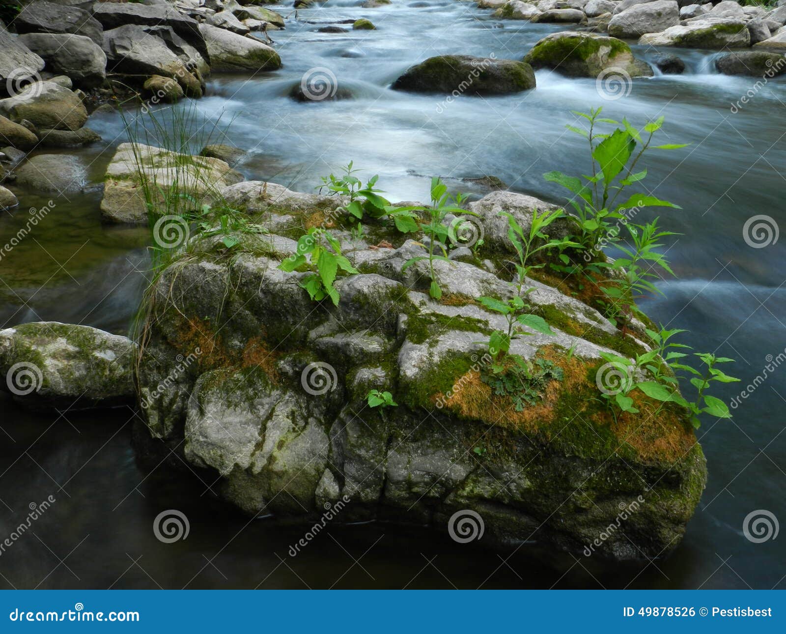 Rock river water stock photo. Image of nature, creek - 49878526