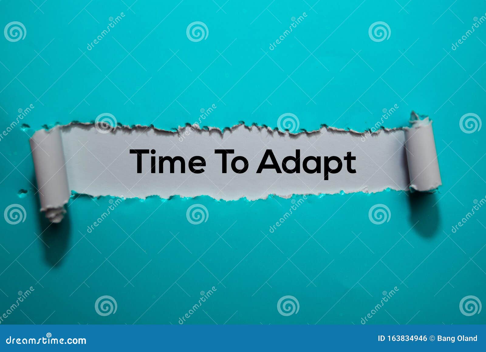 Time To Adapt Text Written in Torn Paper Stock Photo - Image of ...
