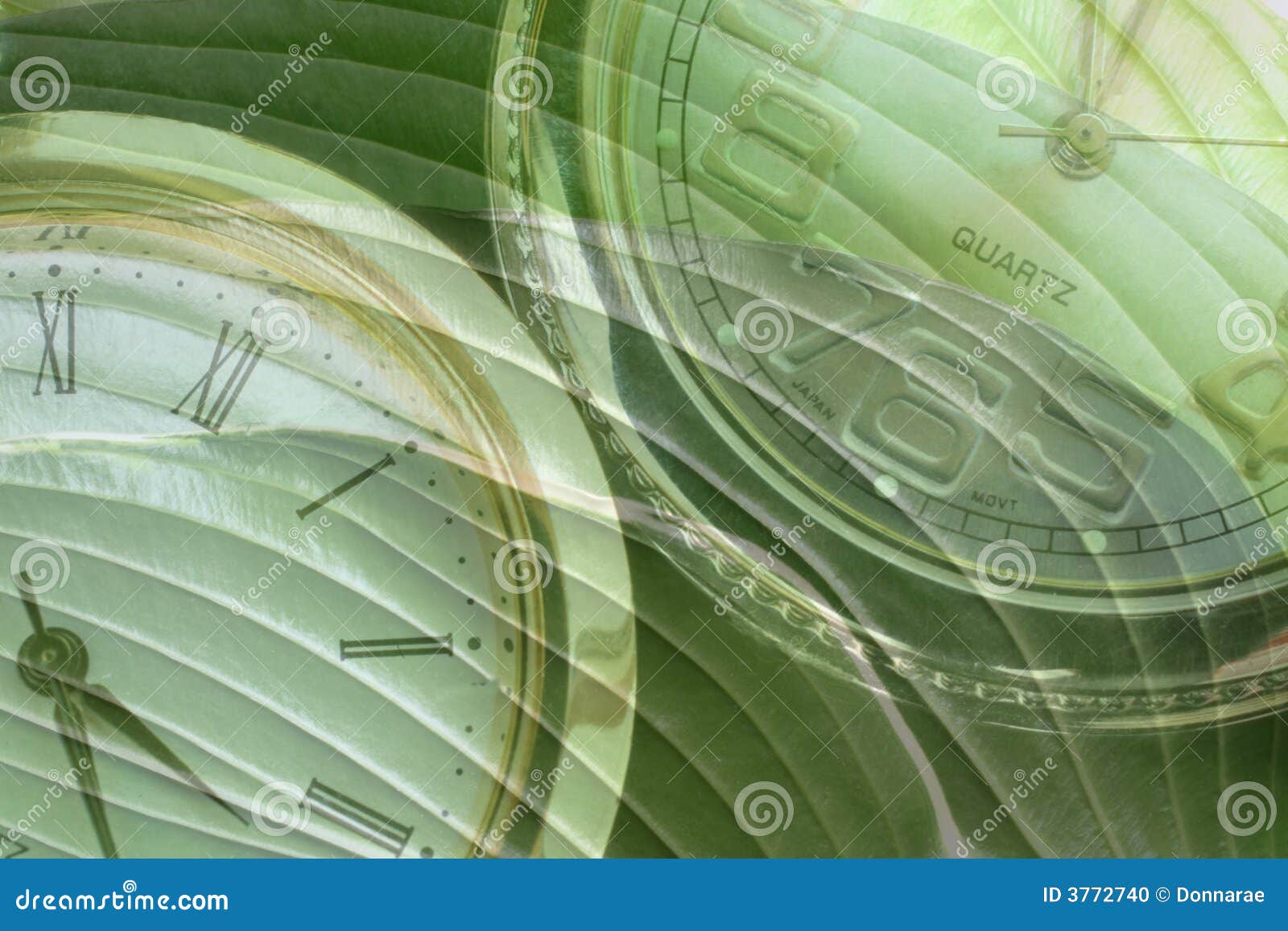Time to go green stock photo. Image of preservation, mysterious - 3772740