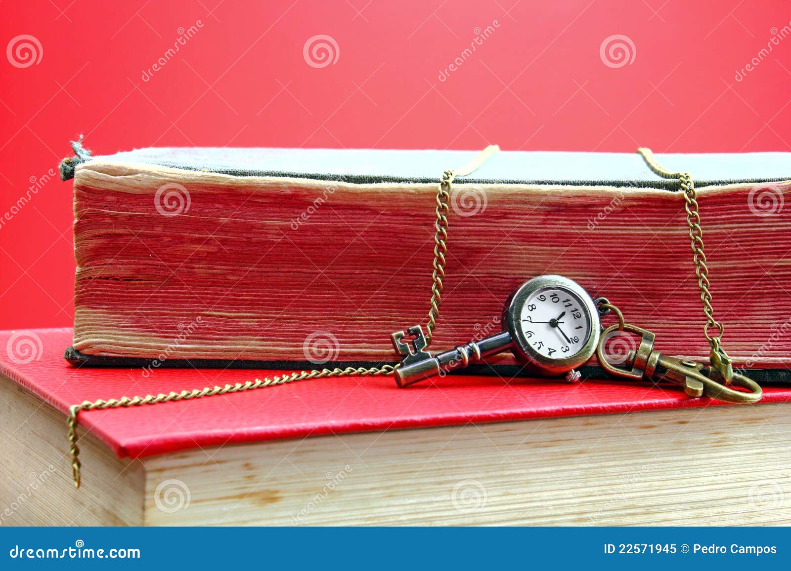 Time To Open Your Mind and Learn New Things Stock Image - Image of ...