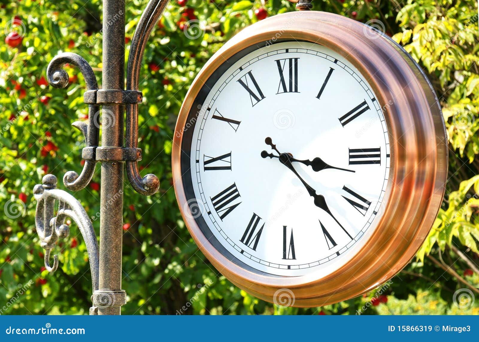 Time To Pick Up those Red Apples Stock Image - Image of backyard, flora ...