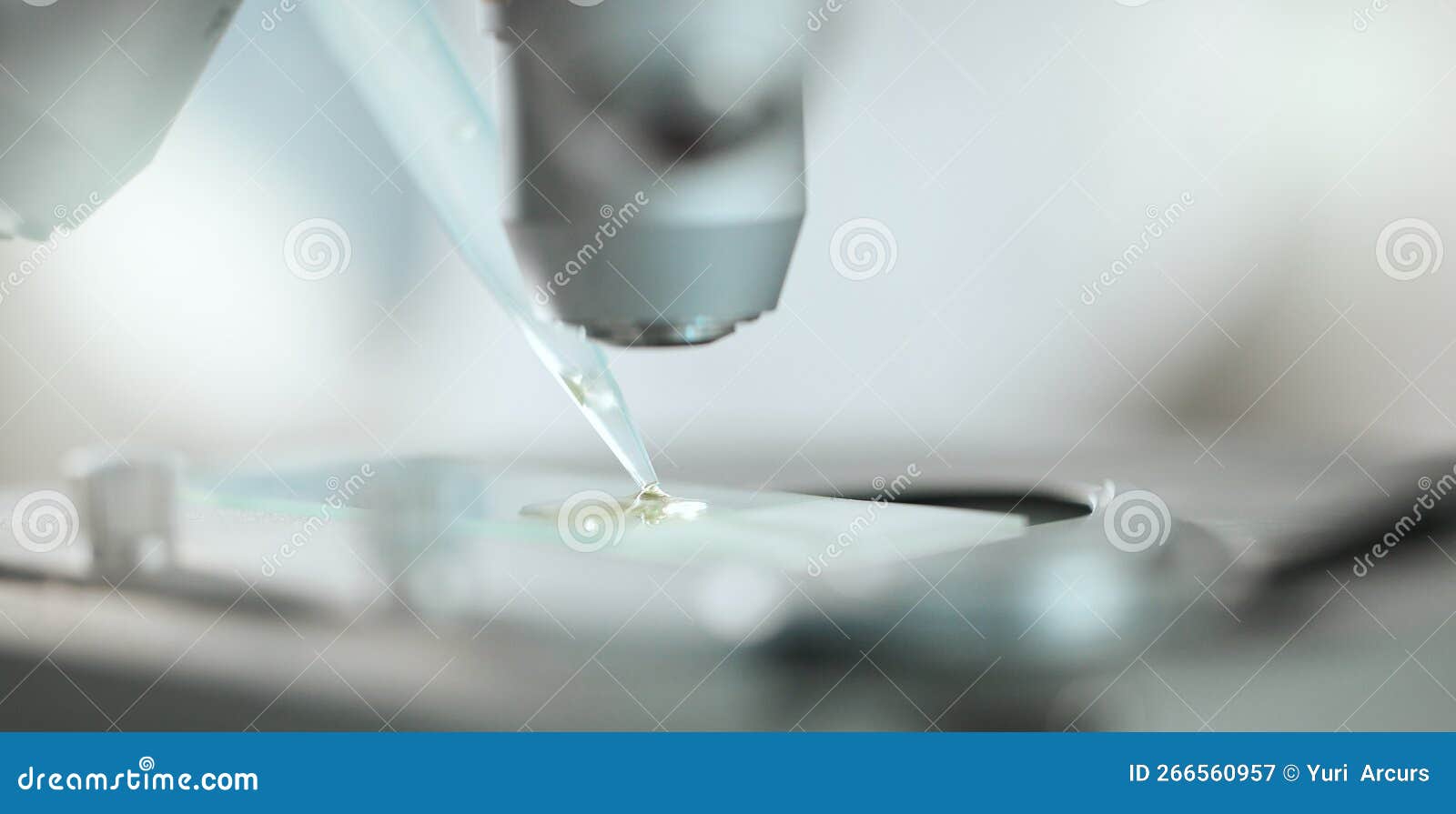 Time To See Everything Up Close. a Microscope in a Laboratory. Stock ...