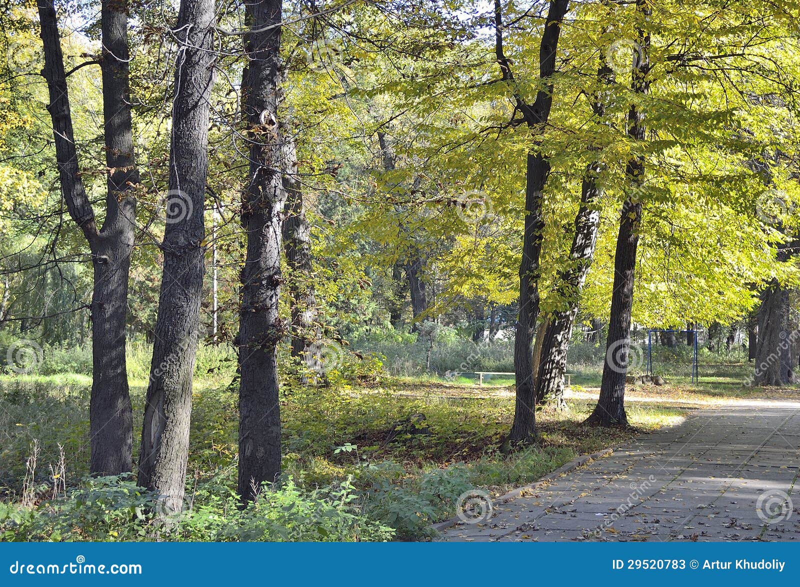 At the Time of Walk at Park Stock Image - Image of park, trees: 29520783