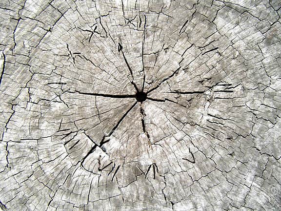 Time in Wood stock photo. Image of texture, viejo, clock - 3848048