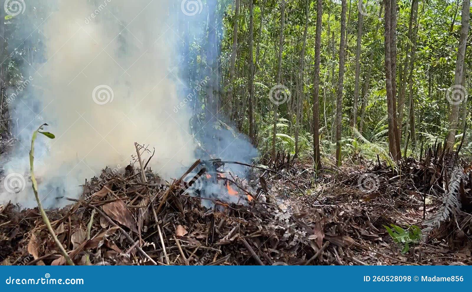 Timelapse Fire with Puff of Smokee Stock Footage - Video of timelapse ...