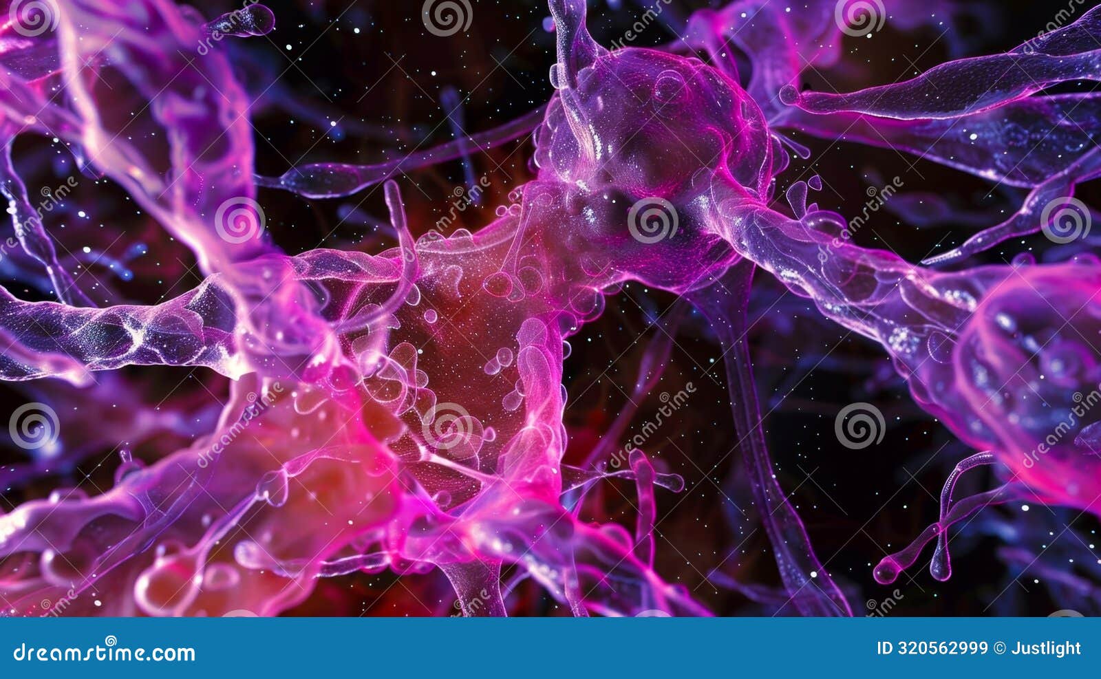 A Timelapse Microscopy Video of Lymphocytes Passing through a Lymphatic ...