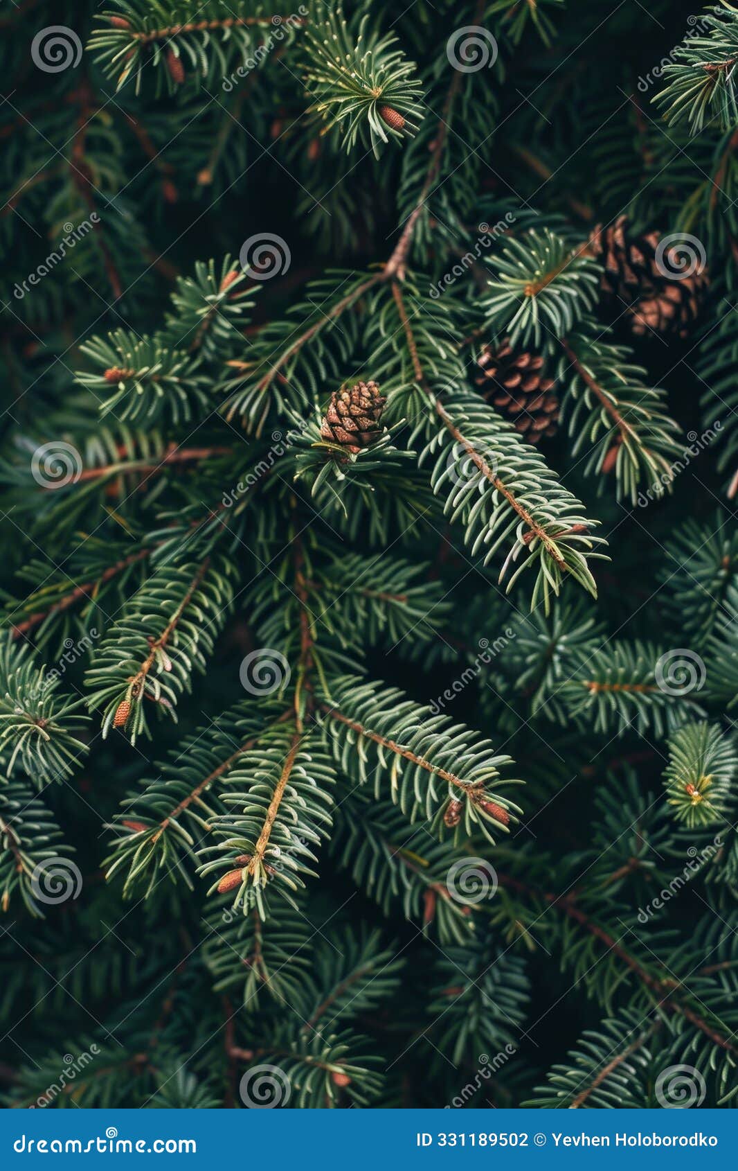 Timeless Elegance Classic Dot Pattern on Evergreen Background for ...