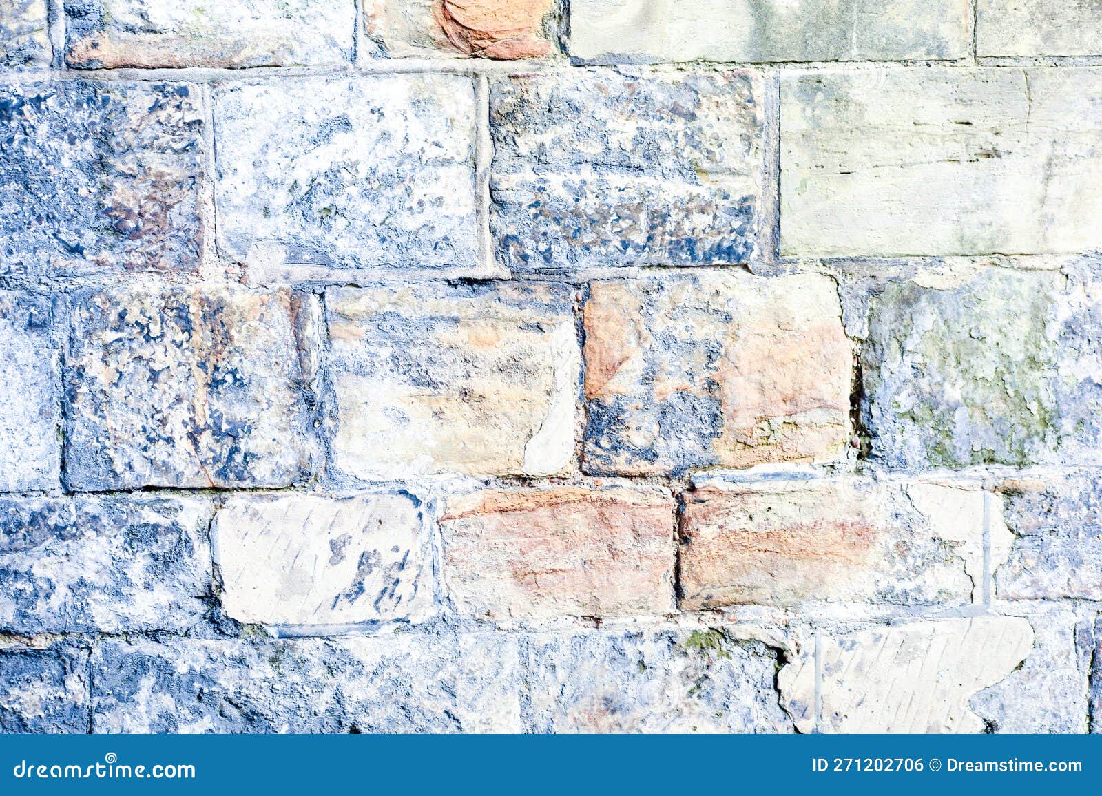 Old Rustic Dry Decay Wood Board Full Of Wormholes Made By Woodworm And ...