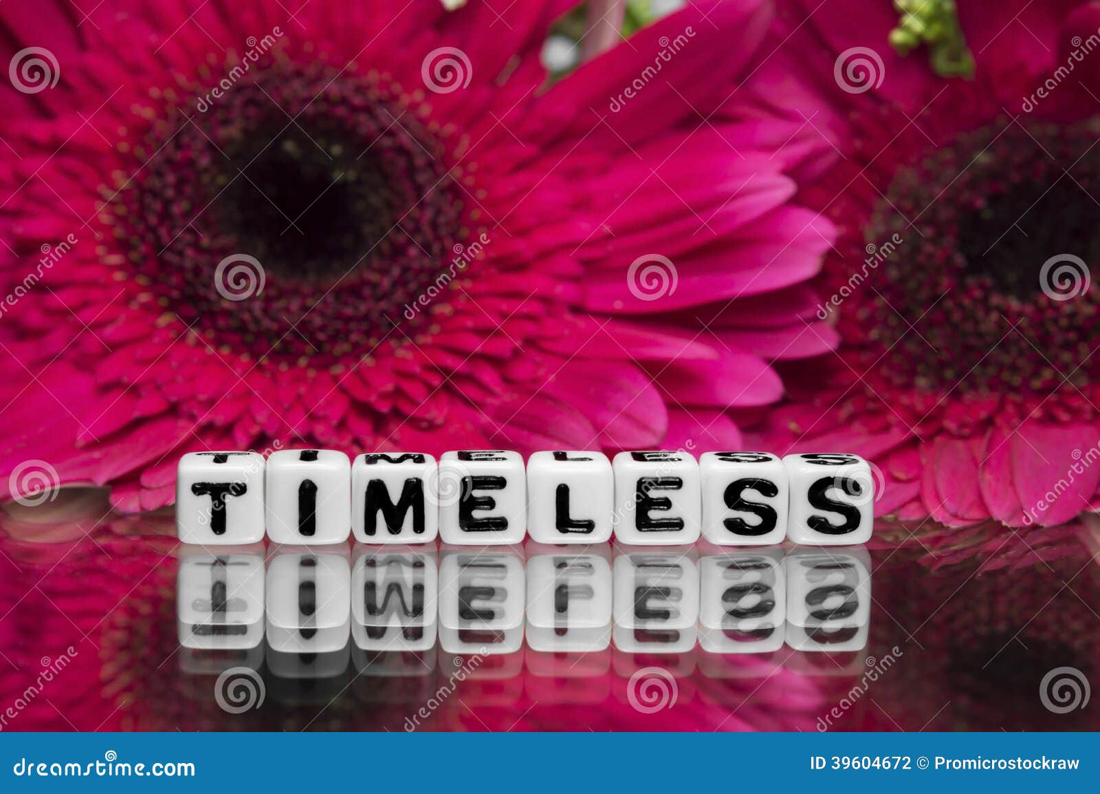Timeless Text Message with Flowers Stock Photo - Image of memory ...