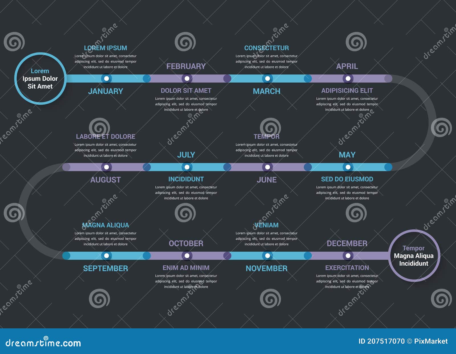 Timeline Infographics stock vector. Illustration of portfolio - 207517070