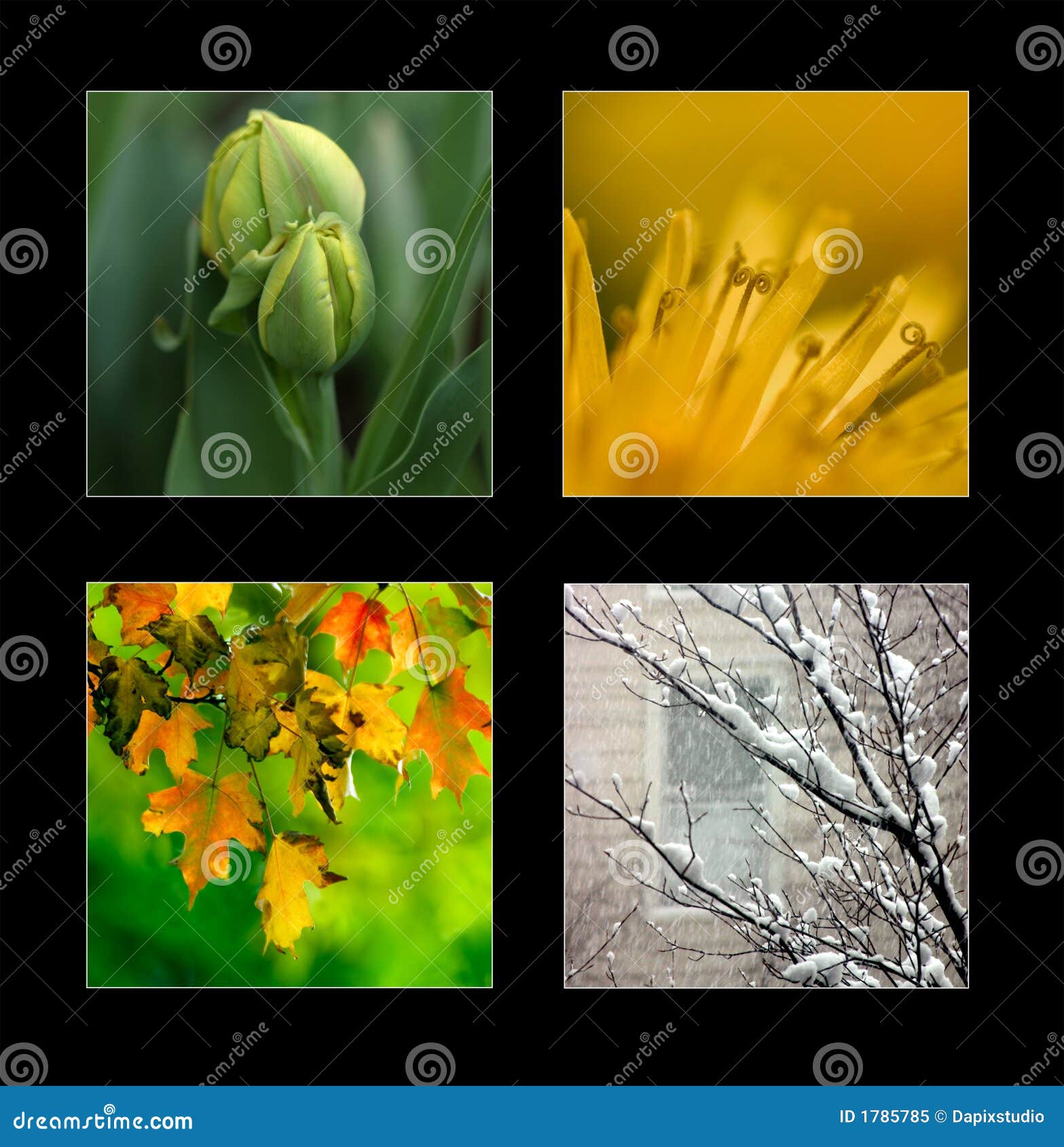 Times of the year stock image. Image of creative, petals - 1785785