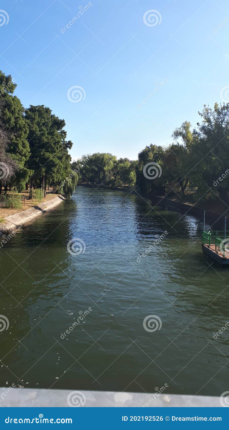 TimiÈ™oara, Bega River stock photo. Image of grass, tree - 202192526