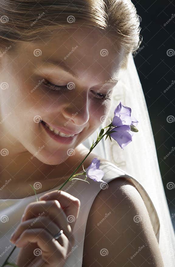 Timid bride stock photo. Image of woman, love, beauty - 10451510