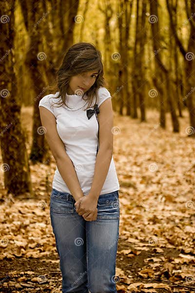 Timidity stock image. Image of adult, fall, closeup, beauty - 7062099