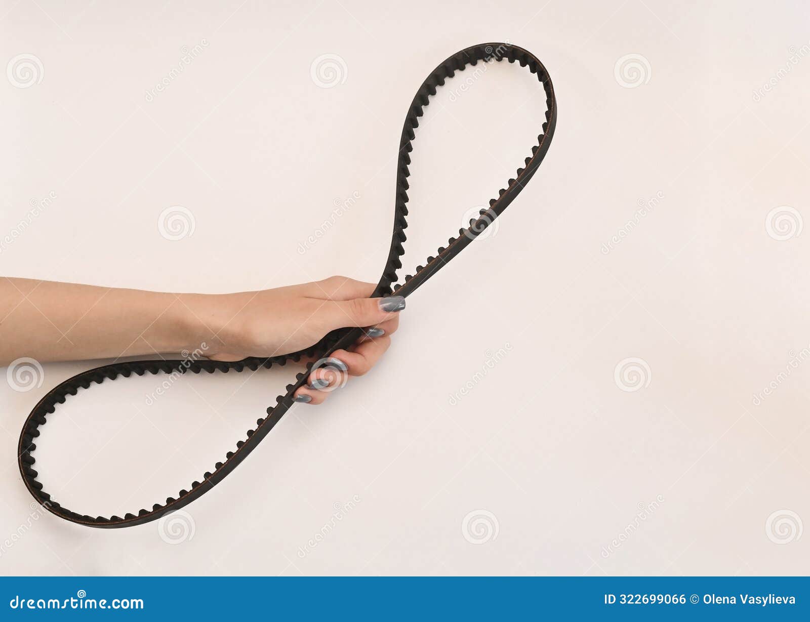 Timing Belt in Hands on a White Background. Stock Photo - Image of gear ...