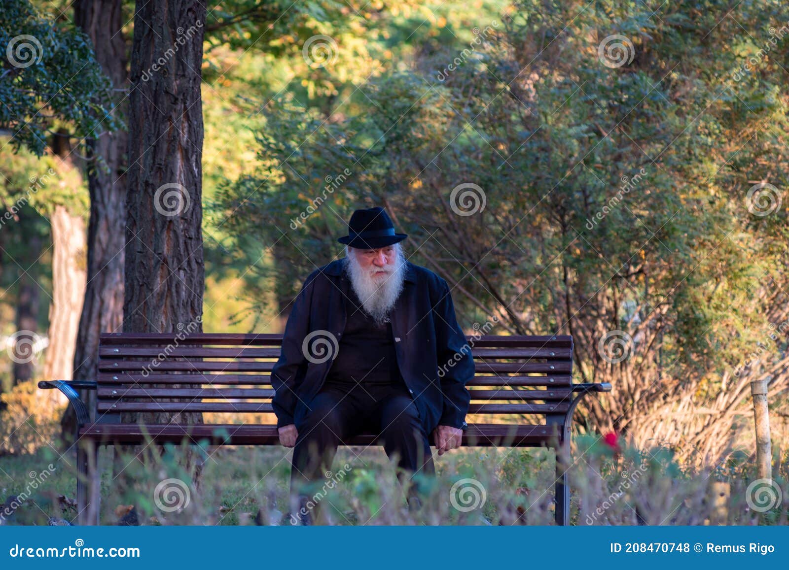 Man siting on a bench editorial stock photo. Image of street - 208470748