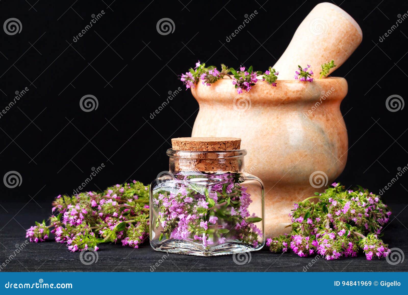 Timjan fotografering för bildbyråer. Bild av blomma, green - 94841969