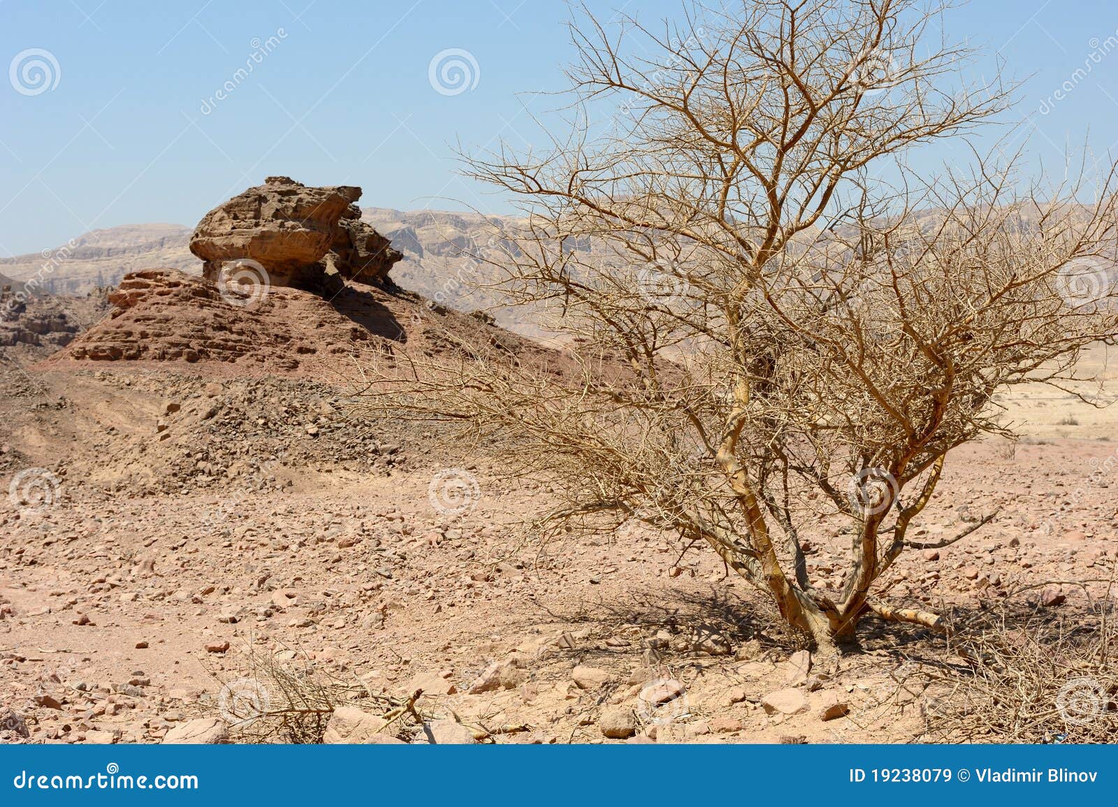Timna National Park stock image. Image of multicolour - 19238079