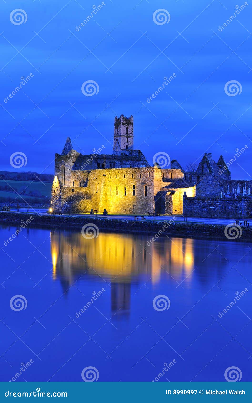 Timoleague Abbey stock image. Image of building, ireland - 8990997