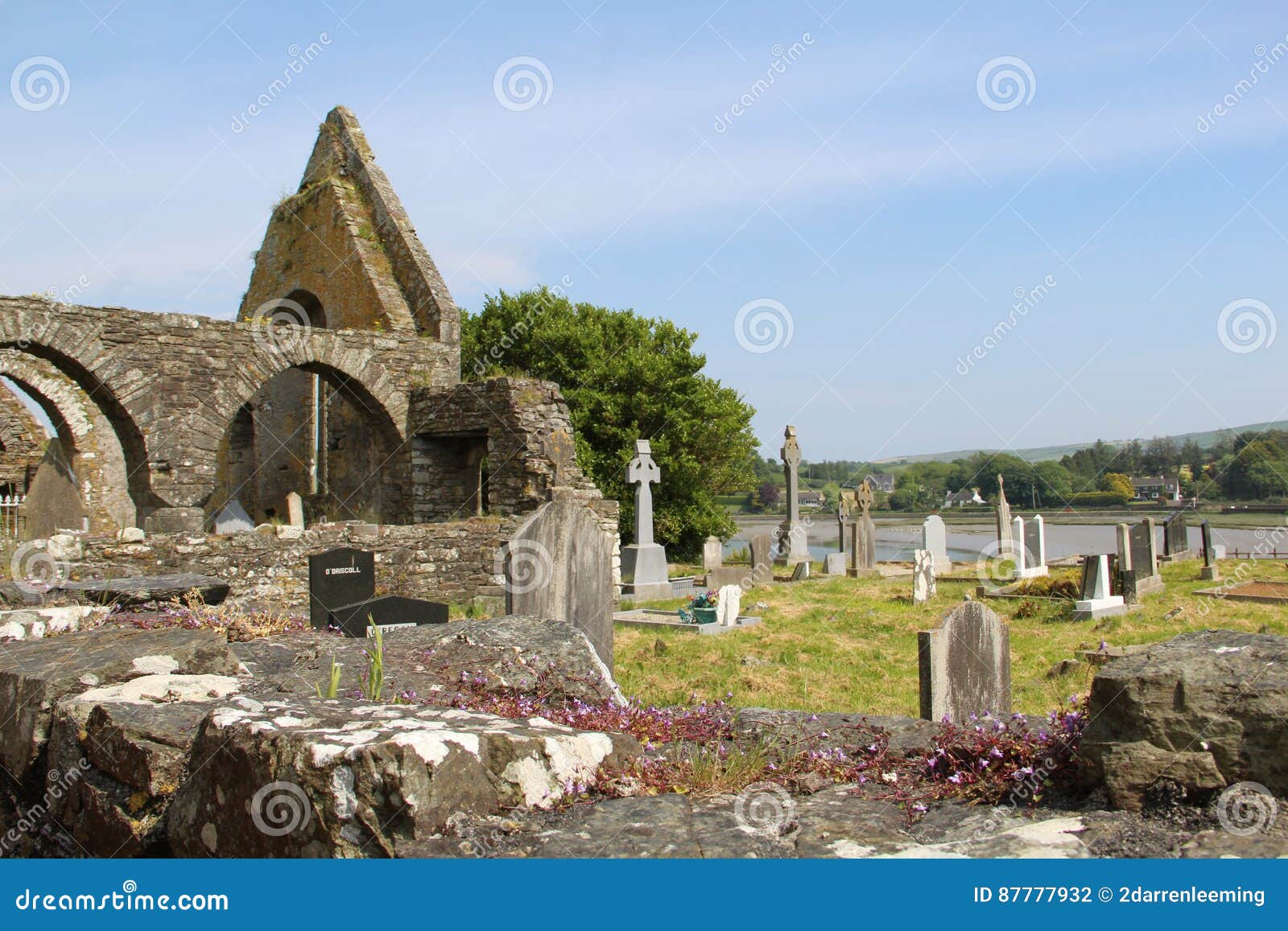 Timoleague Abbey Cork Ireland Fotografia Stock - Immagine di irlanda ...