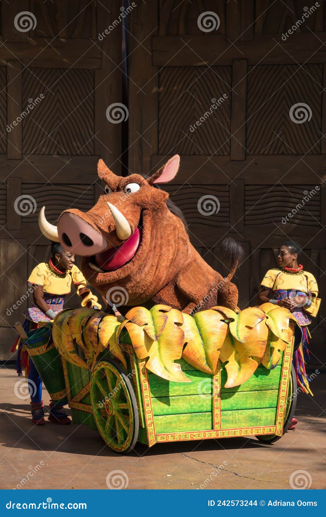 Timon's Stock Photos - Free & Royalty-Free Stock Photos from Dreamstime