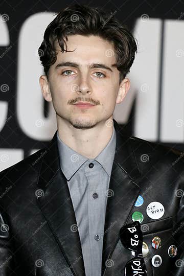 Timothee Chalamet editorial photography. Image of popular - 349440782 Timothee Chalamet editorial photography. Image of popular - 349440782