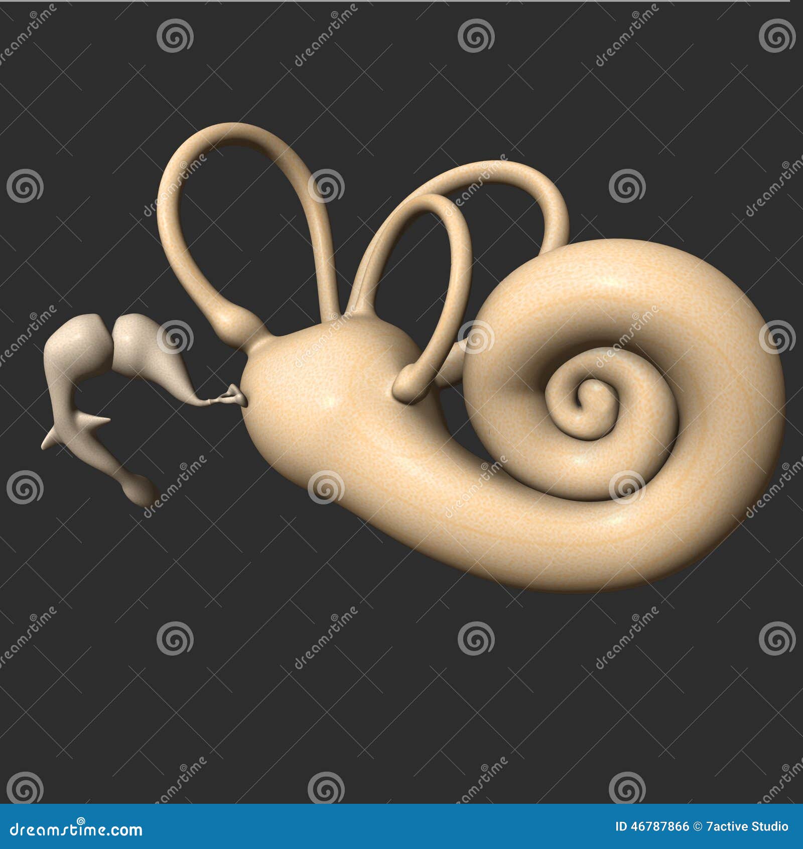 Timpano illustrazione di stock. Illustrazione di canale - 46787866