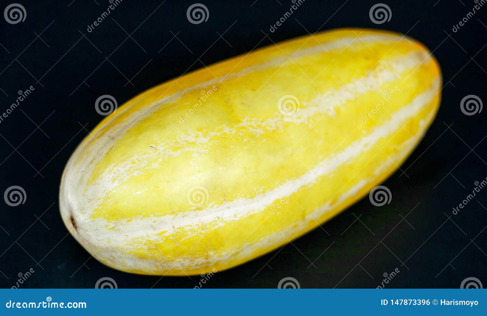 Timun Suri stock photo. Image of cucurbitaceae, mentimun - 147873396