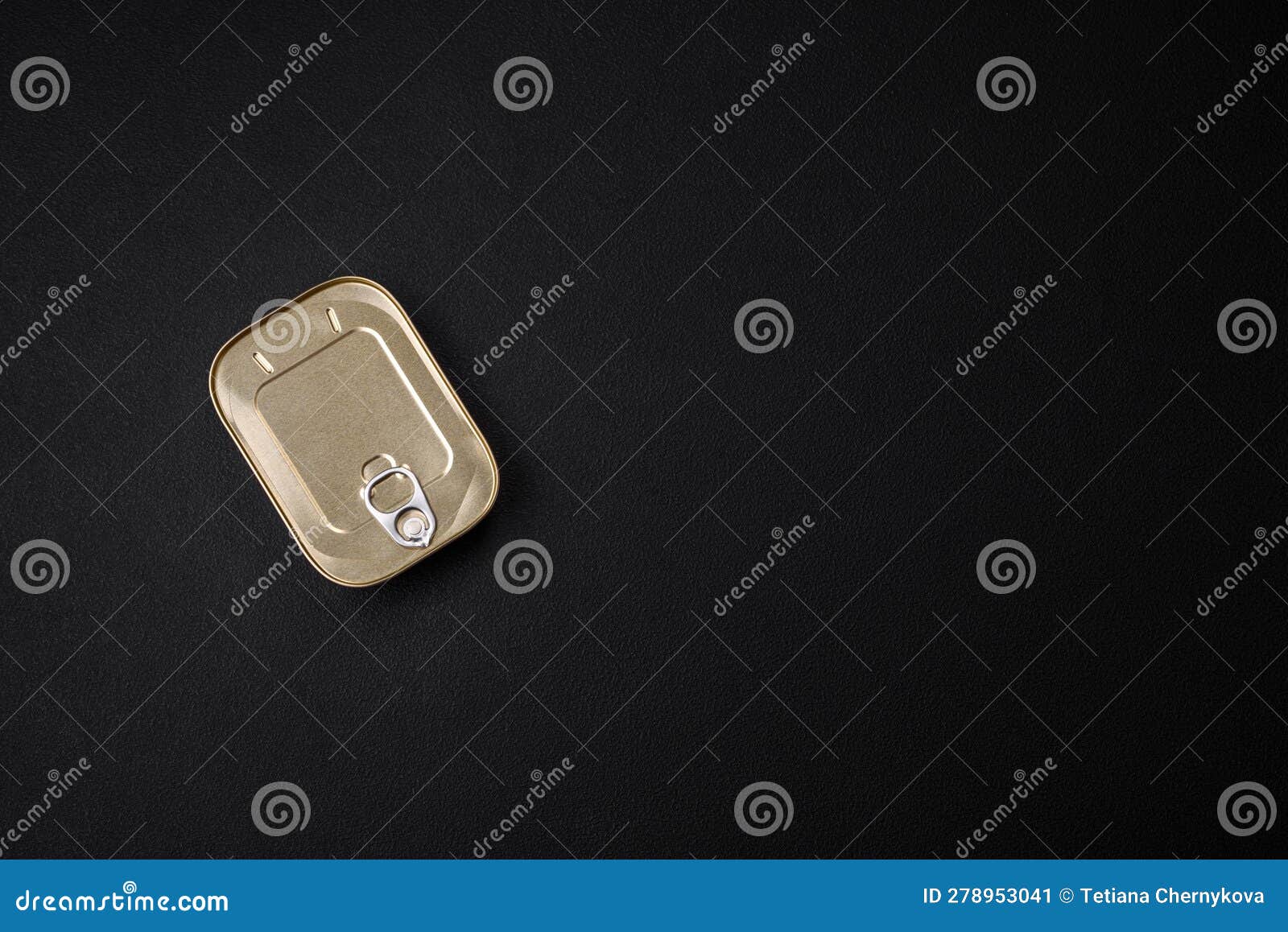 Tin or Aluminum Rectangular Can of Canned Food with a Key Stock Image ...