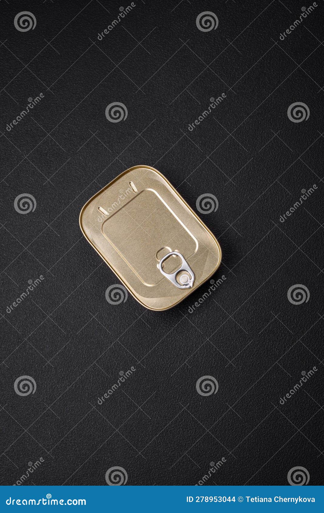 Tin or Aluminum Rectangular Can of Canned Food with a Key Stock Photo ...