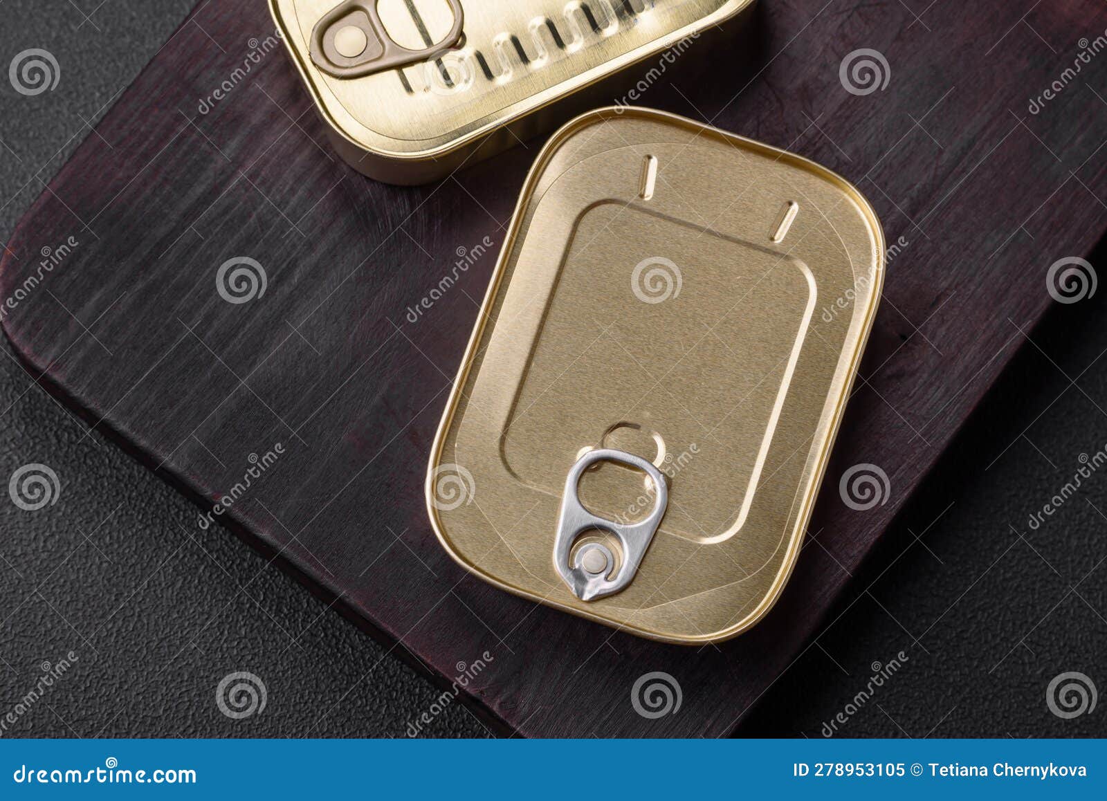 Tin or Aluminum Rectangular Can of Canned Food with a Key Stock Image ...
