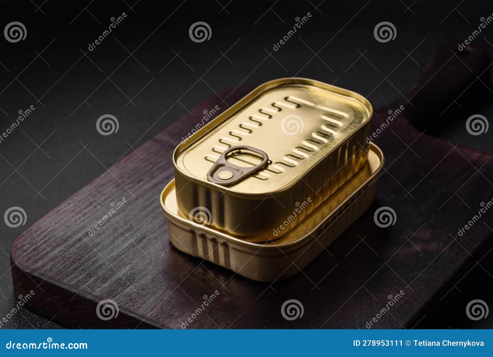 Tin or Aluminum Rectangular Can of Canned Food with a Key Stock Image ...