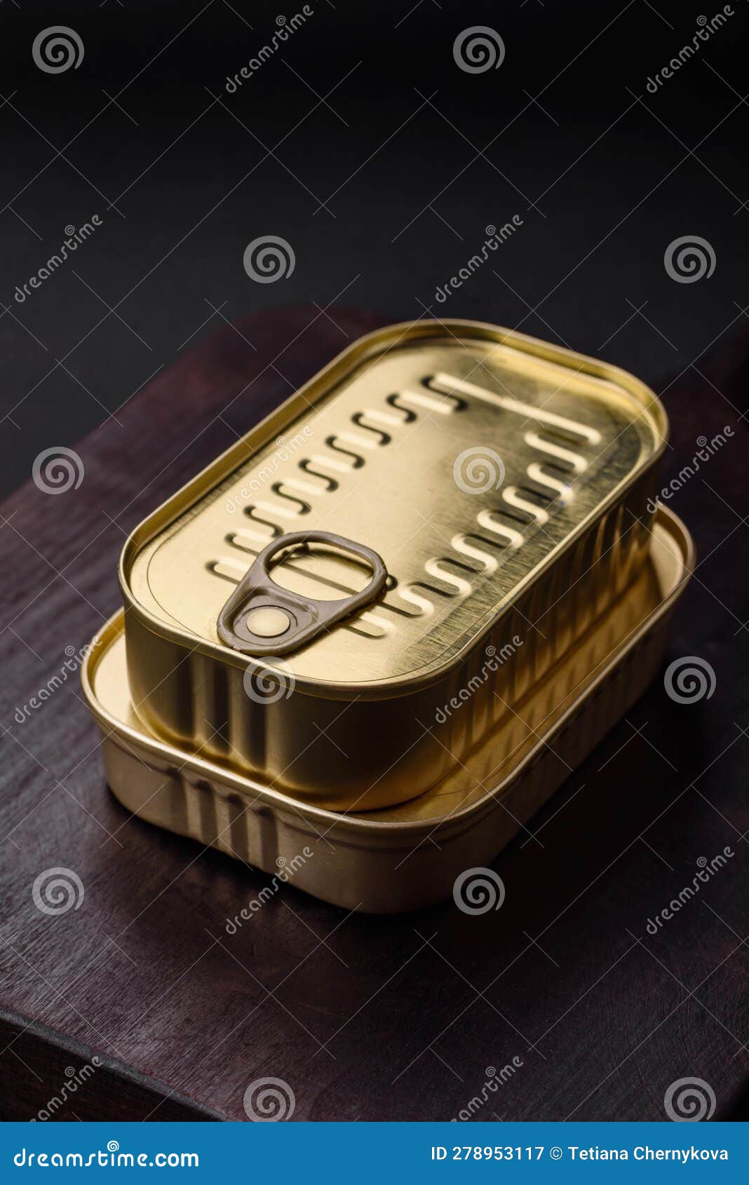 Tin or Aluminum Rectangular Can of Canned Food with a Key Stock Image ...