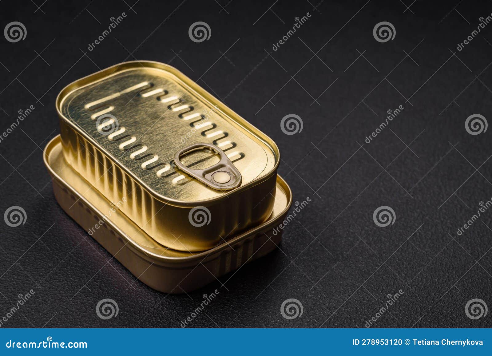 Tin or Aluminum Rectangular Can of Canned Food with a Key Stock Photo ...