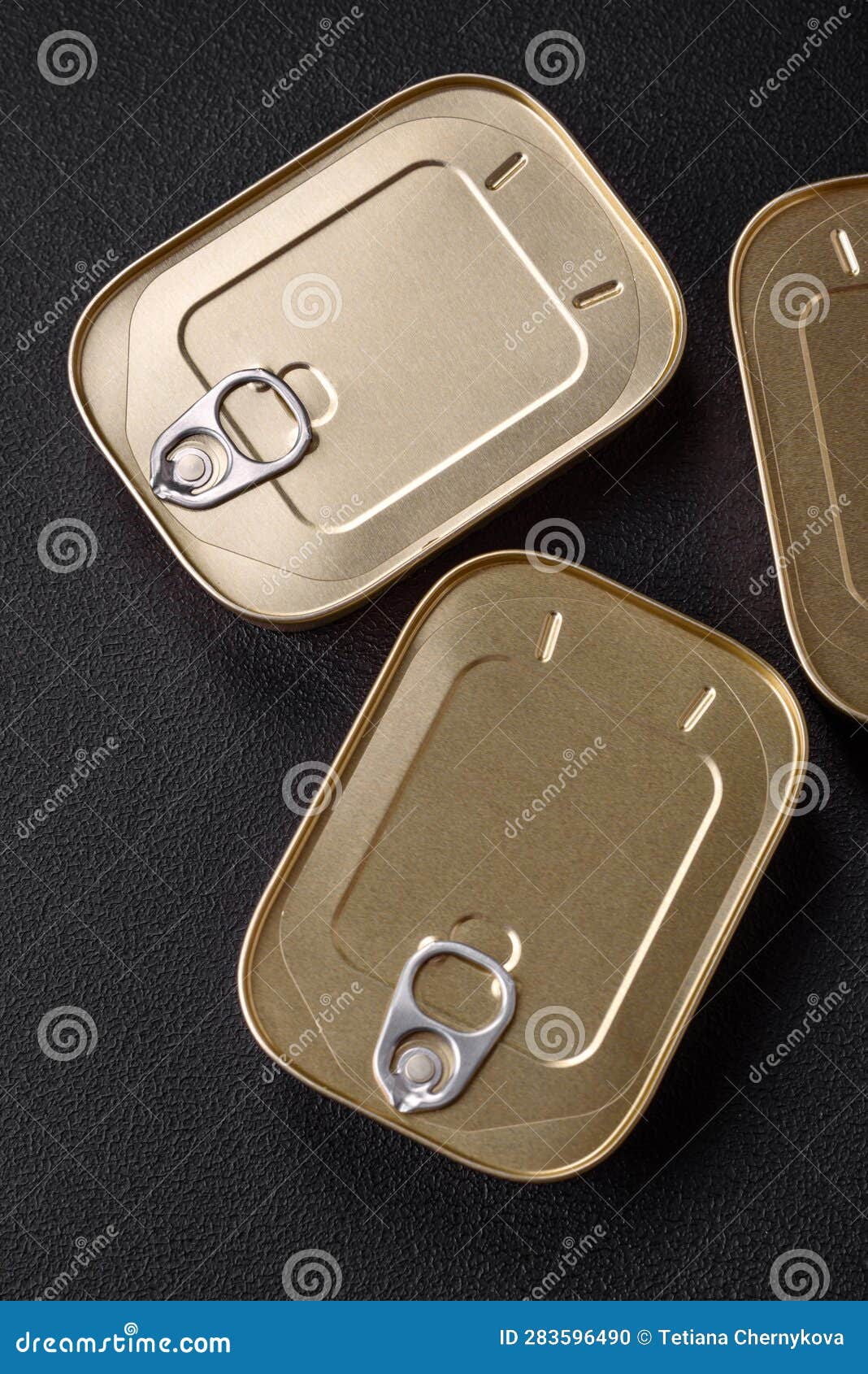 Tin or Aluminum Rectangular Can of Canned Food with a Key Stock Photo ...