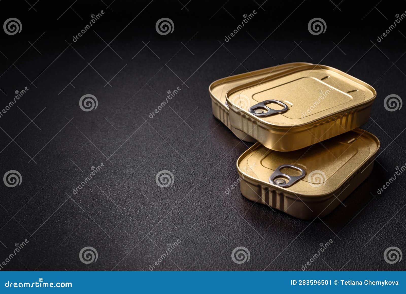 Tin or Aluminum Rectangular Can of Canned Food with a Key Stock Image ...