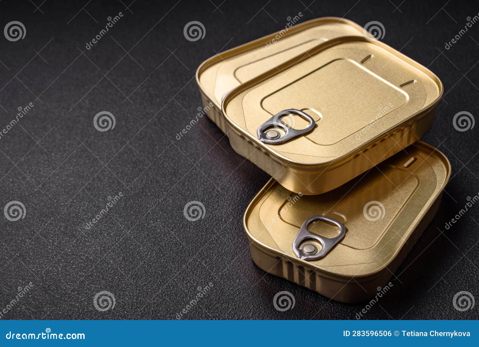 Tin or Aluminum Rectangular Can of Canned Food with a Key Stock Photo ...
