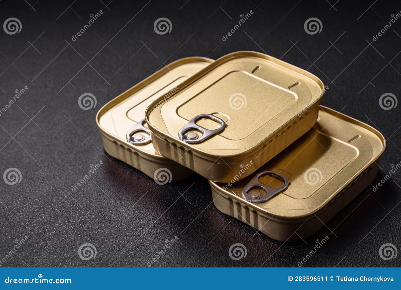 Tin or Aluminum Rectangular Can of Canned Food with a Key Stock Image ...