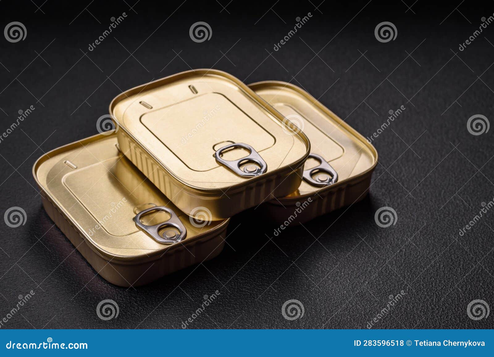 Tin or Aluminum Rectangular Can of Canned Food with a Key Stock Photo ...