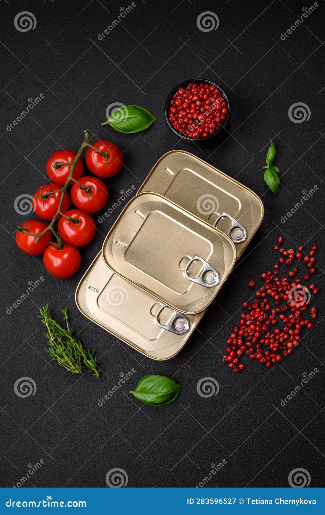 Tin or Aluminum Rectangular Can of Canned Food with a Key Stock Image ...
