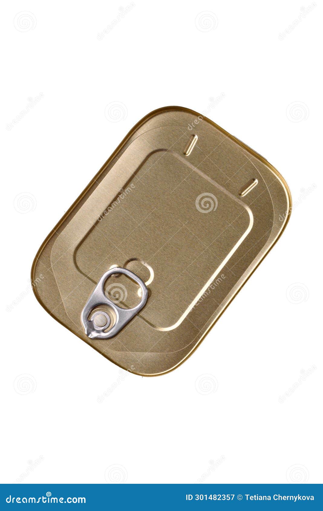 Tin or Aluminum Rectangular Can of Canned Food with a Key Stock Image ...
