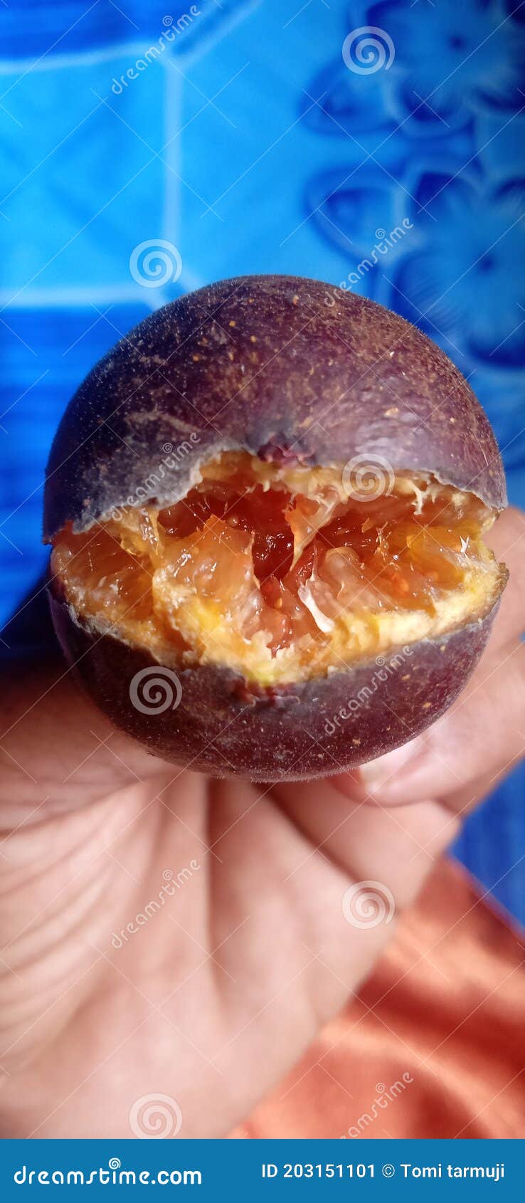 Fruit of heaven stock image. Image of fruit, buttercream - 203151101