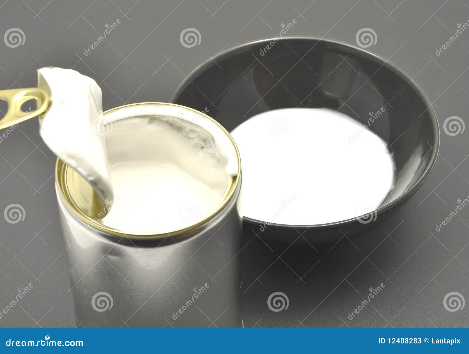 Tin can with coconut milk stock image. Image of objectbox - 12408283