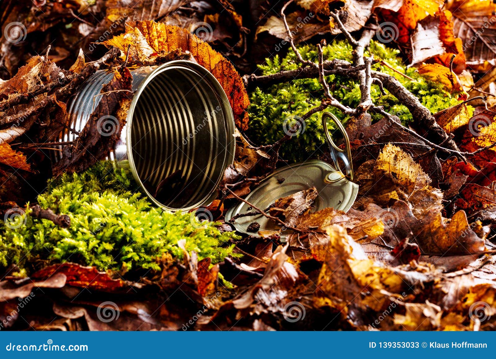 Tin Can Waste on Forest Floor Closeup Stock Image - Image of moos ...