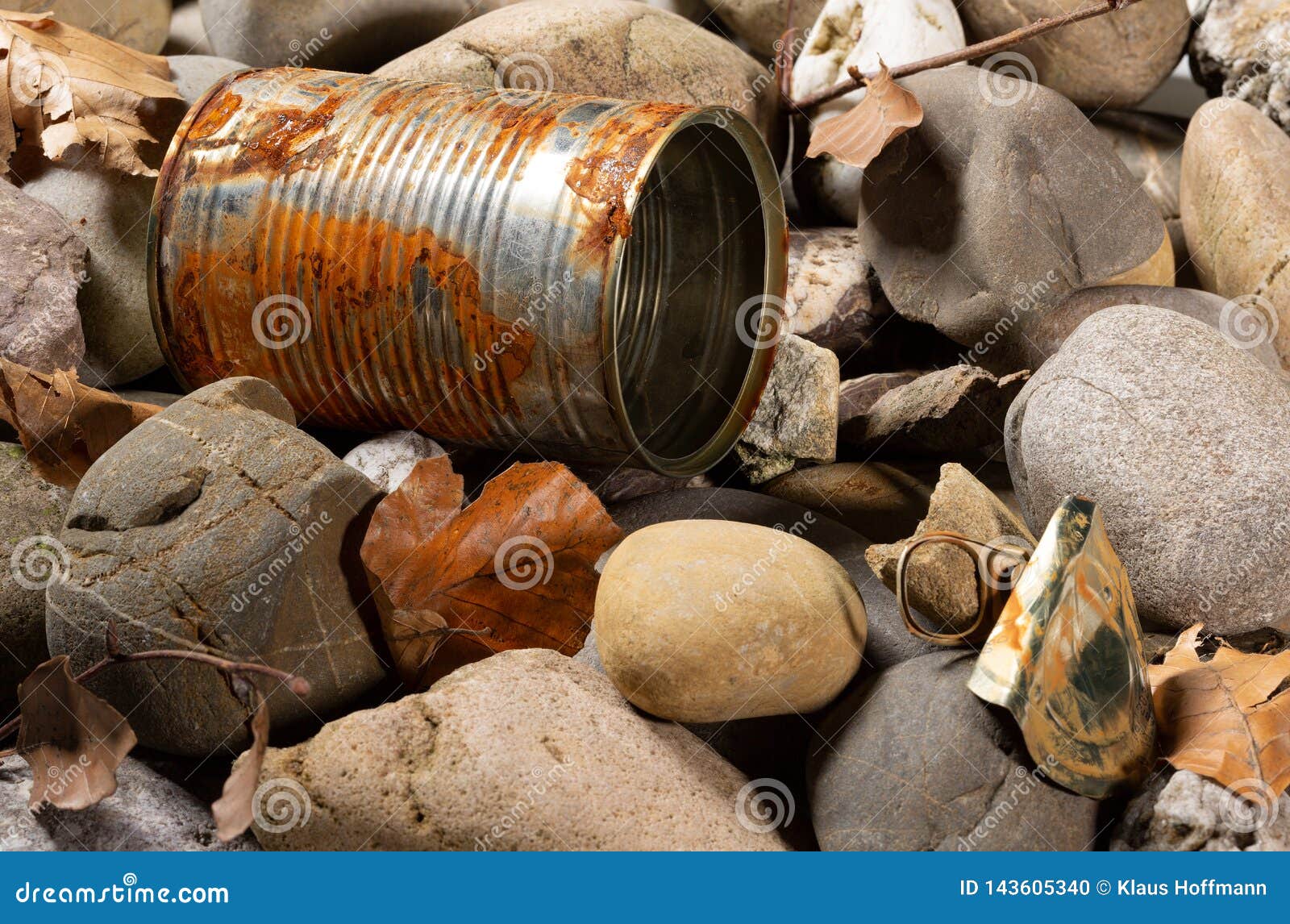 Tin Can Waste on Pebble Beach Floor Closeup Stock Photo - Image of ...