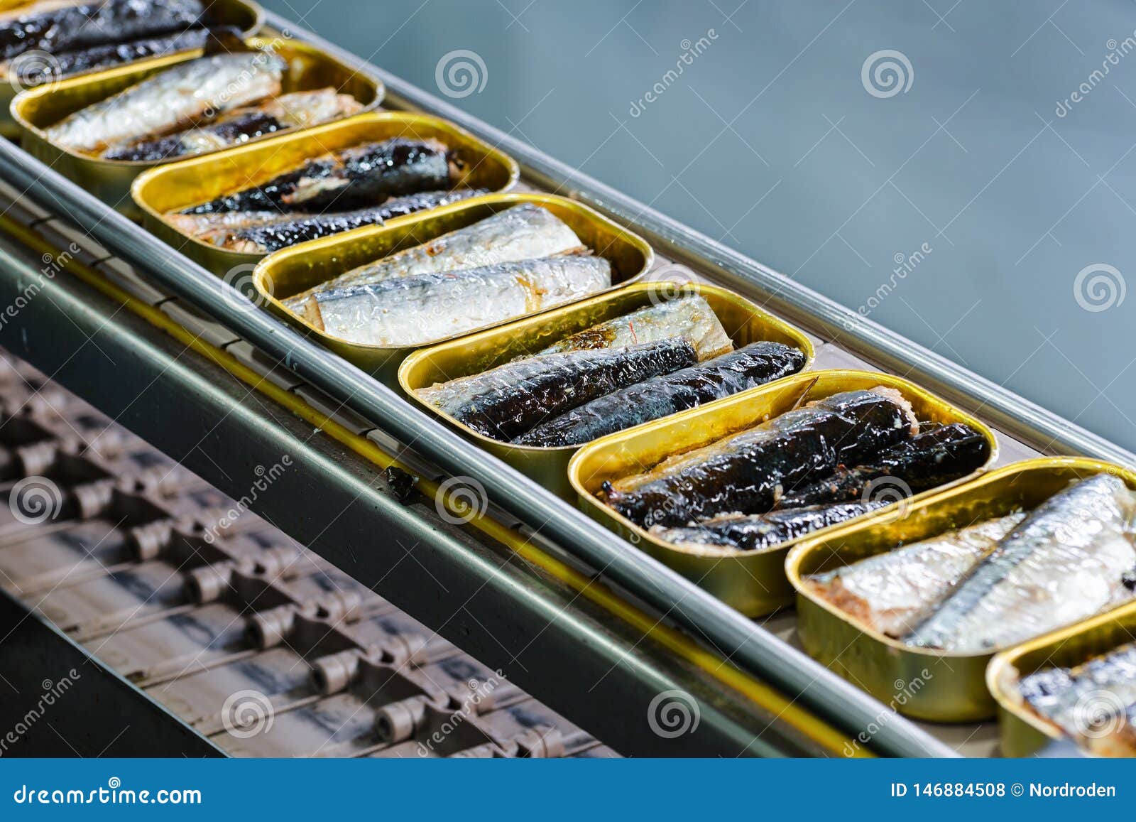 Tin Cans with Fish on the Conveyor. Stock Photo - Image of container ...