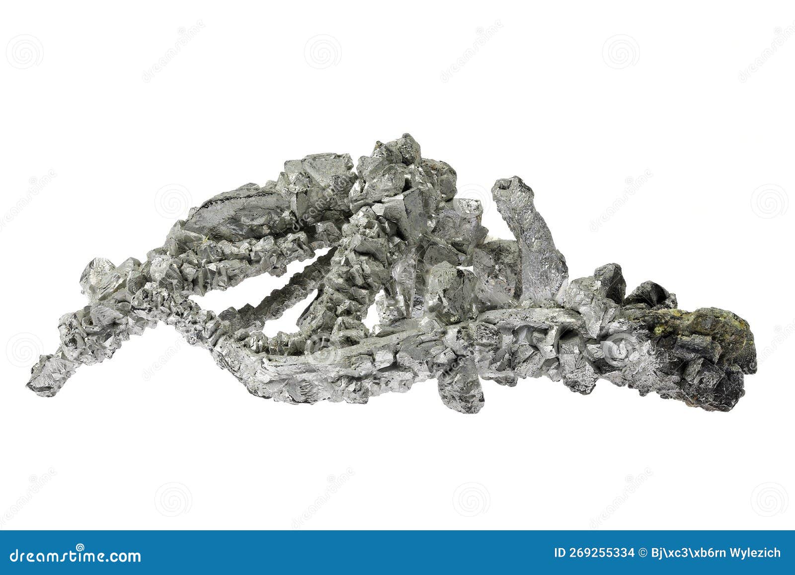 Native tin stock photo. Image of chihuahua, stannum - 269255334