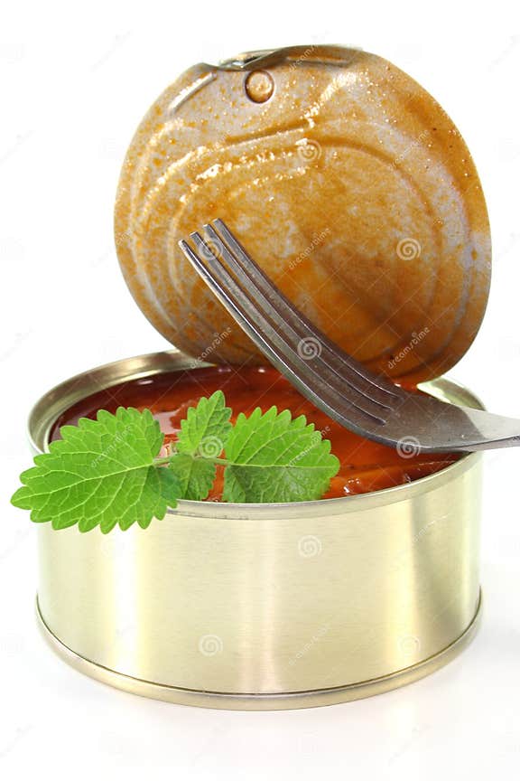 Tin of fish stock photo. Image of white, mediterranean - 19835548