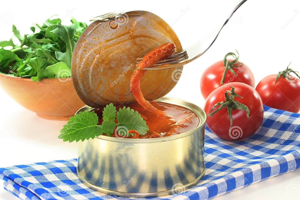 Tin of fish stock image. Image of salad, canned, traditional - 19835567